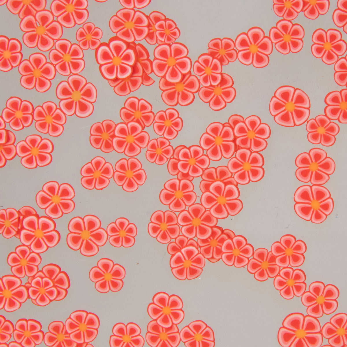 Red Daisy Sprinkles Transparent Cast Acrylic, Laser Safe, 1/8”, 12”x19 ...