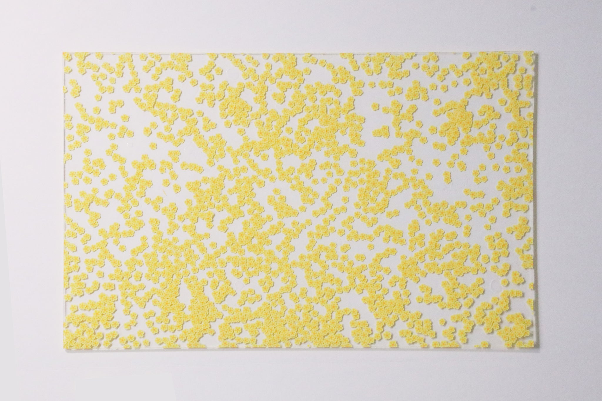 Acrylic Transparent — Craft Closet