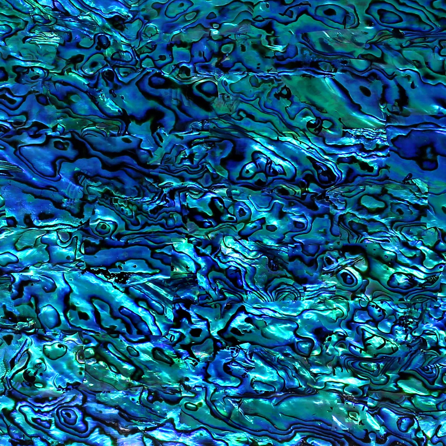 Shell Veneer — Craft Closet