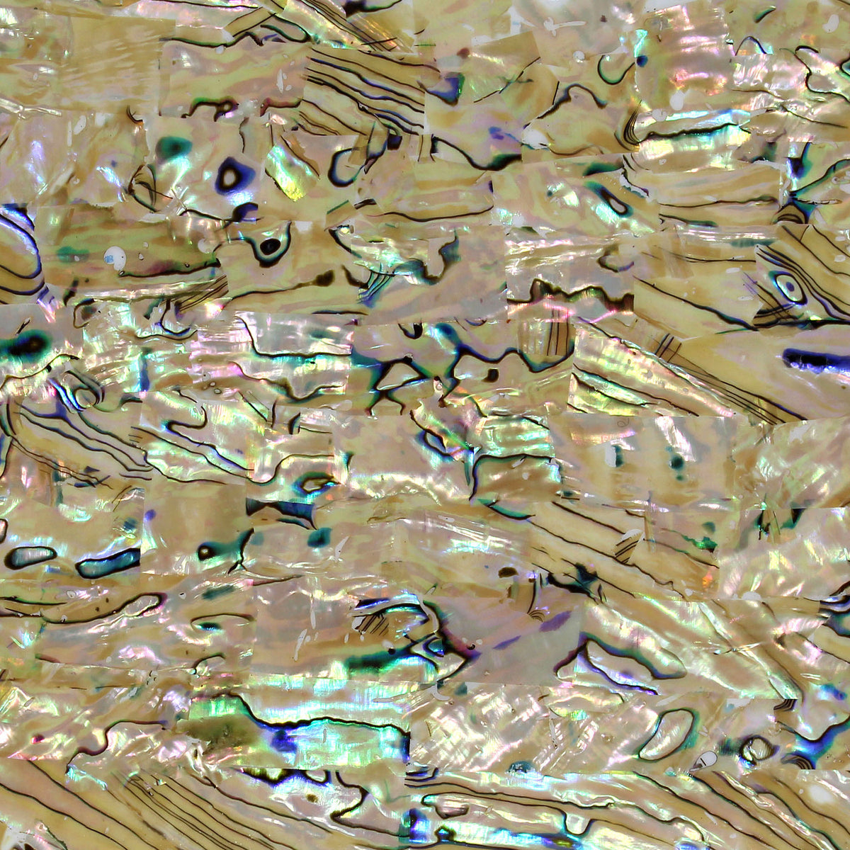 Natural, Extra Light Abalone Shell Veneer — Craft Closet