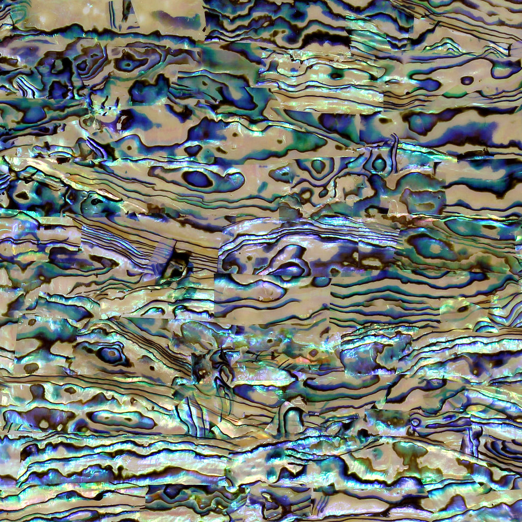 Abalone Shell Veneer — Craft Closet