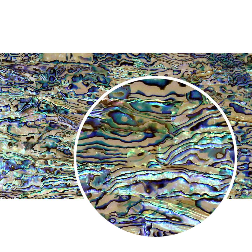 Shell Veneer — Craft Closet