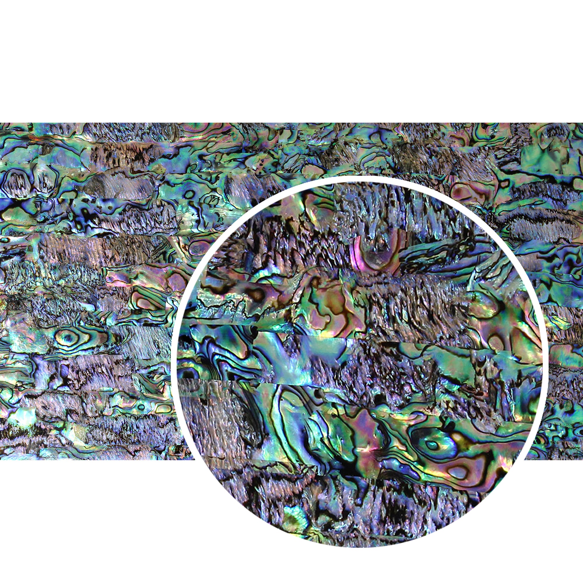 Shell Veneer — Craft Closet