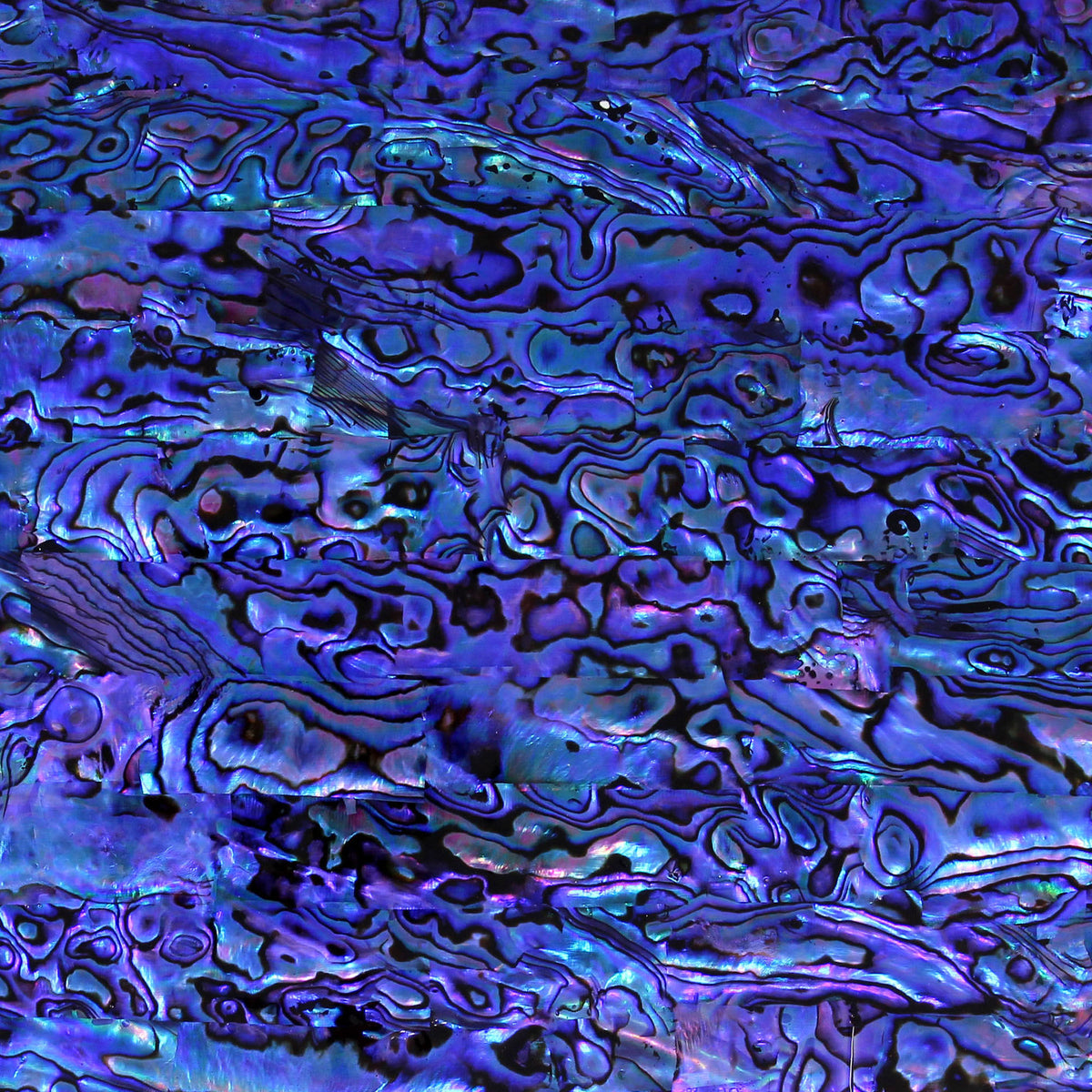 Royal Purple Abalone Shell Veneer — Craft Closet