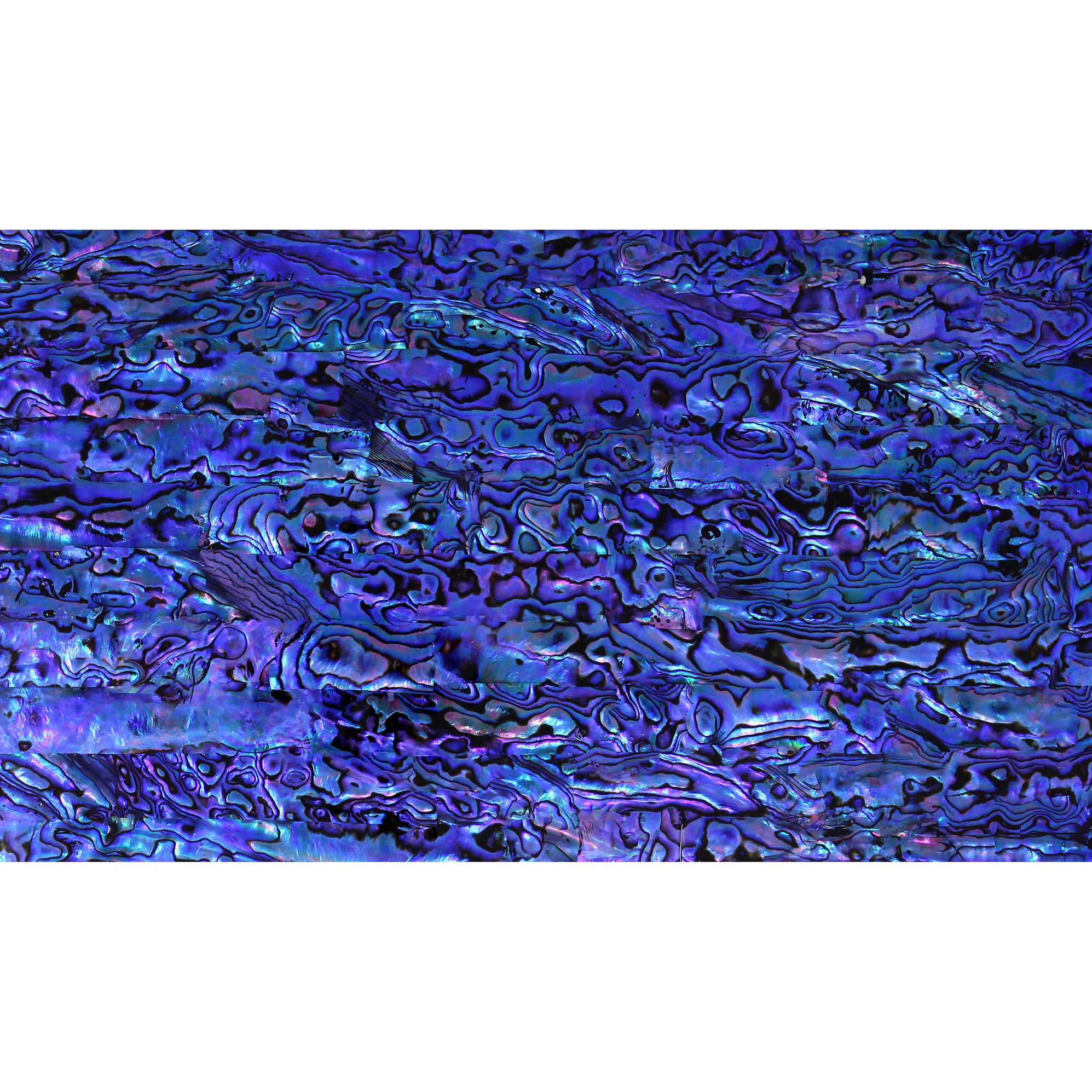 Royal Purple Abalone Shell Veneer — Craft Closet