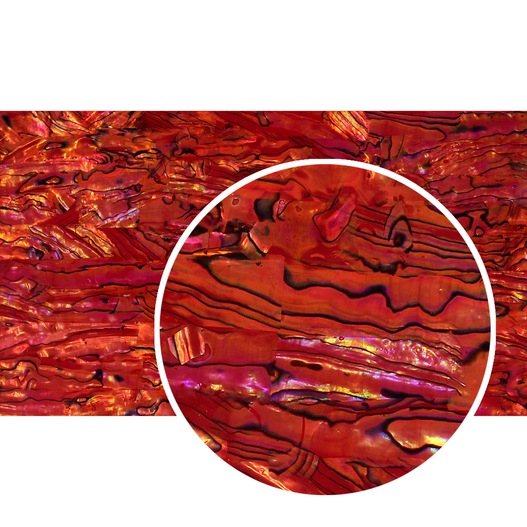 Shell Veneer — Craft Closet