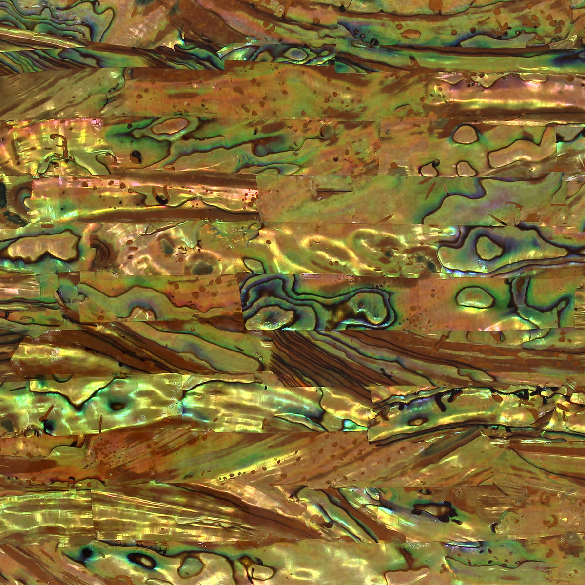 Tigers Eye Abalone Shell Veneer — Craft Closet