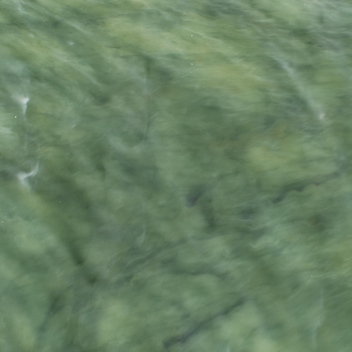 Green Tea Colorwave Cast Acrylic, Laser Safe, 1/8”, 12”x19” — Craft Closet