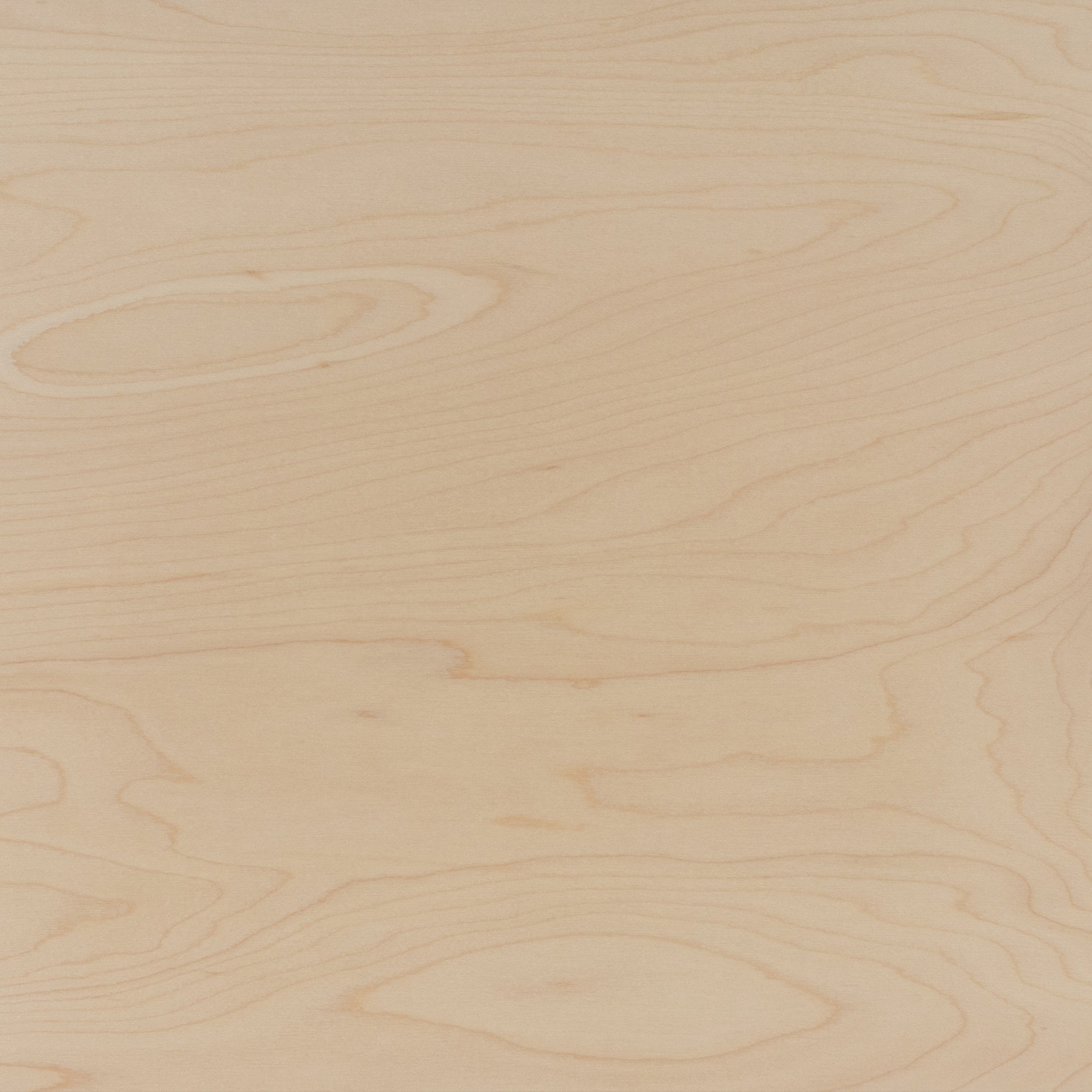 Maple, 1/4 inch, Double Sided, Unfinished — Craft Closet