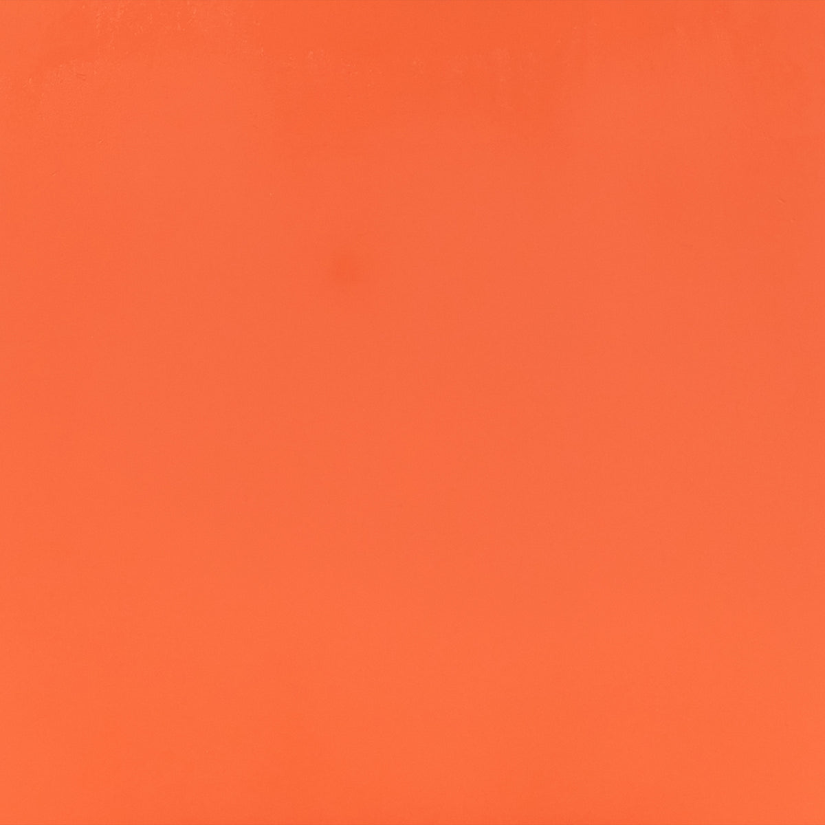 707/Papaya NEONboard — Craft Closet