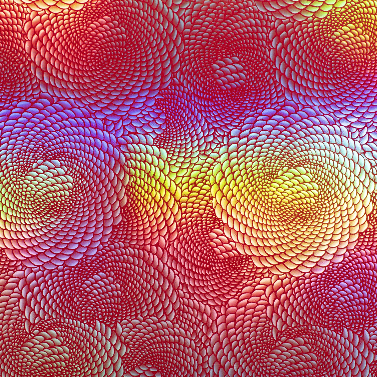 315/Red Swirling Serpent HOLOboard — Craft Closet