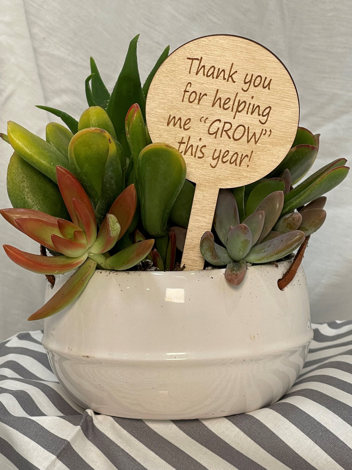 Teacher Plant Stake designed by Taibrie Bangs — Craft Closet
