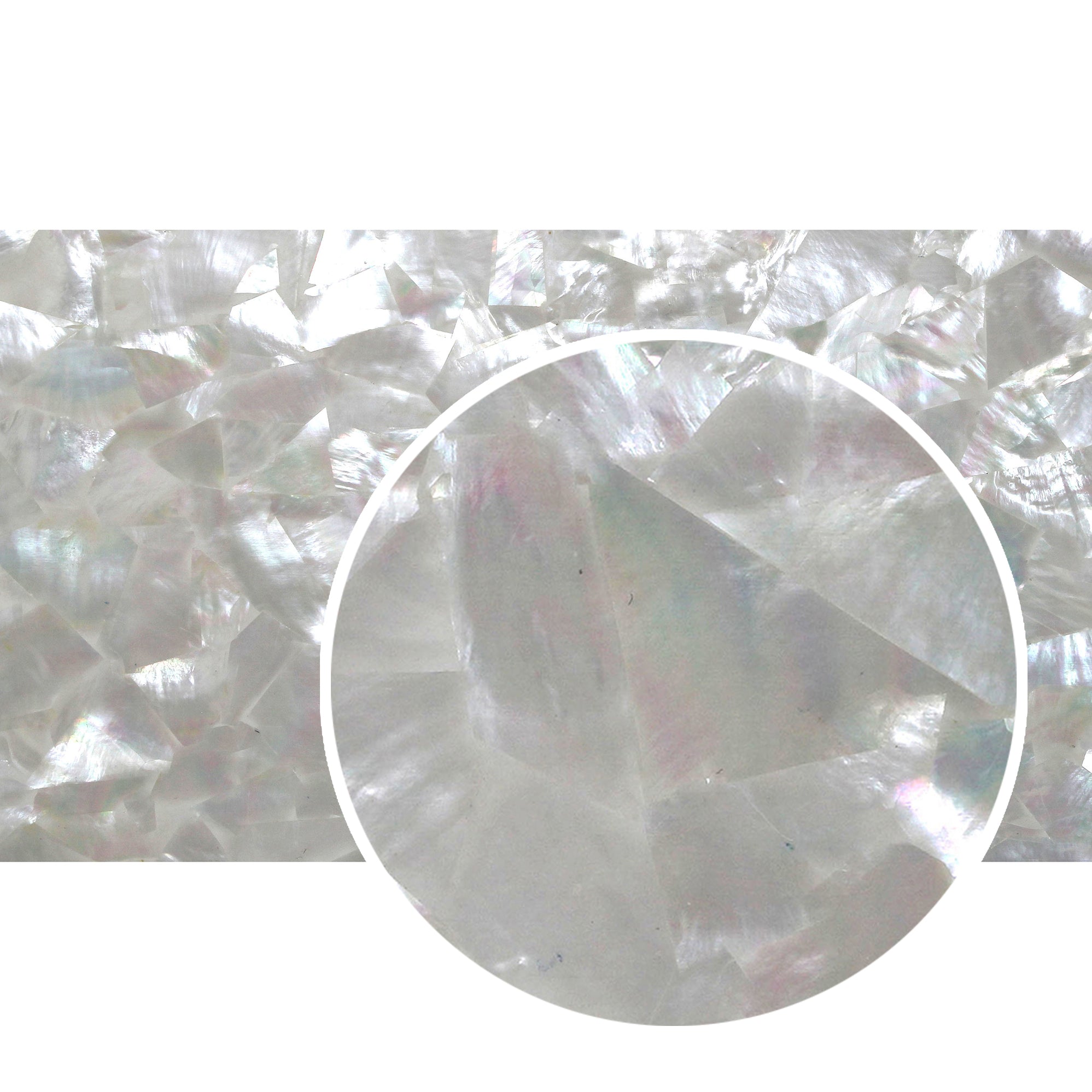 Shell Veneer — Craft Closet